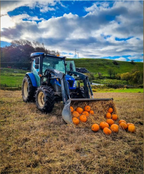 Pick a Pumpkin – A true pumpkin farm experience
